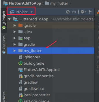 Keren! ini Fitur Baru di Flutter 1.0 yang akan Memudahkanmu Membuat Aplikasi