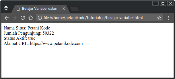 Memahami Variabel dan Tipe Data dalam Javascript