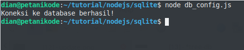 Belajar Nodejs #12: Menggunakan Database SQLite pada Nodejs