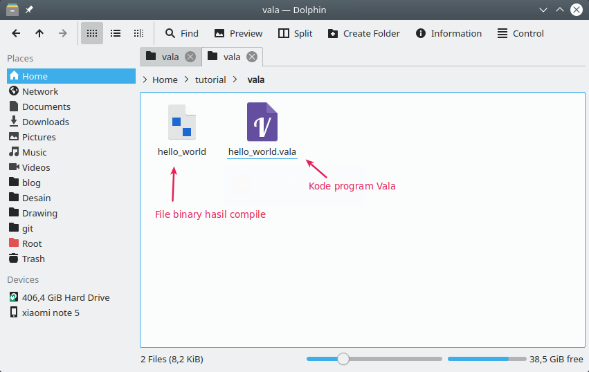 Belajar Vala: Mengenal Bahasa Pemrograman Vala (untuk Pemula)